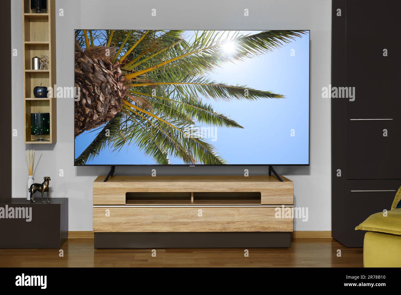 Tv with nature show on screen in cozy room Stock Photo - Alamy