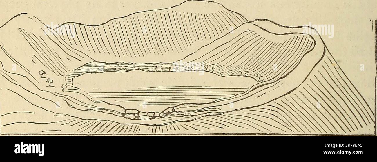 "Elements of geology, or, The ancient changes of the earth and its ...