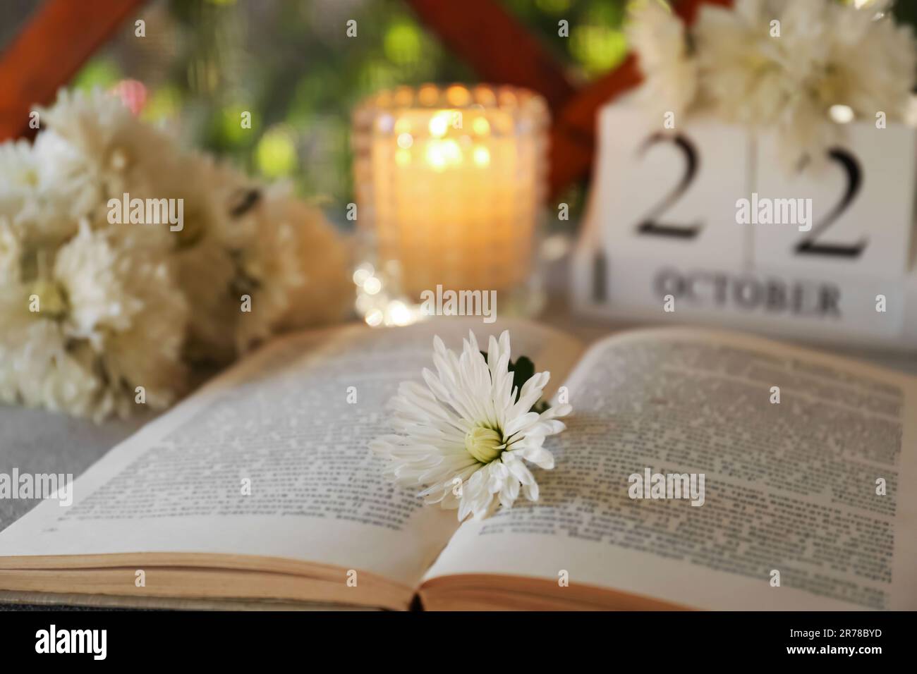 Beautiful white chrysanthemum flowers and open book on table Stock ...