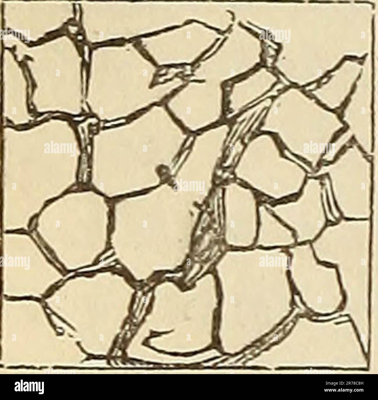 "Elements of geology, or, The ancient changes of the earth and its ...