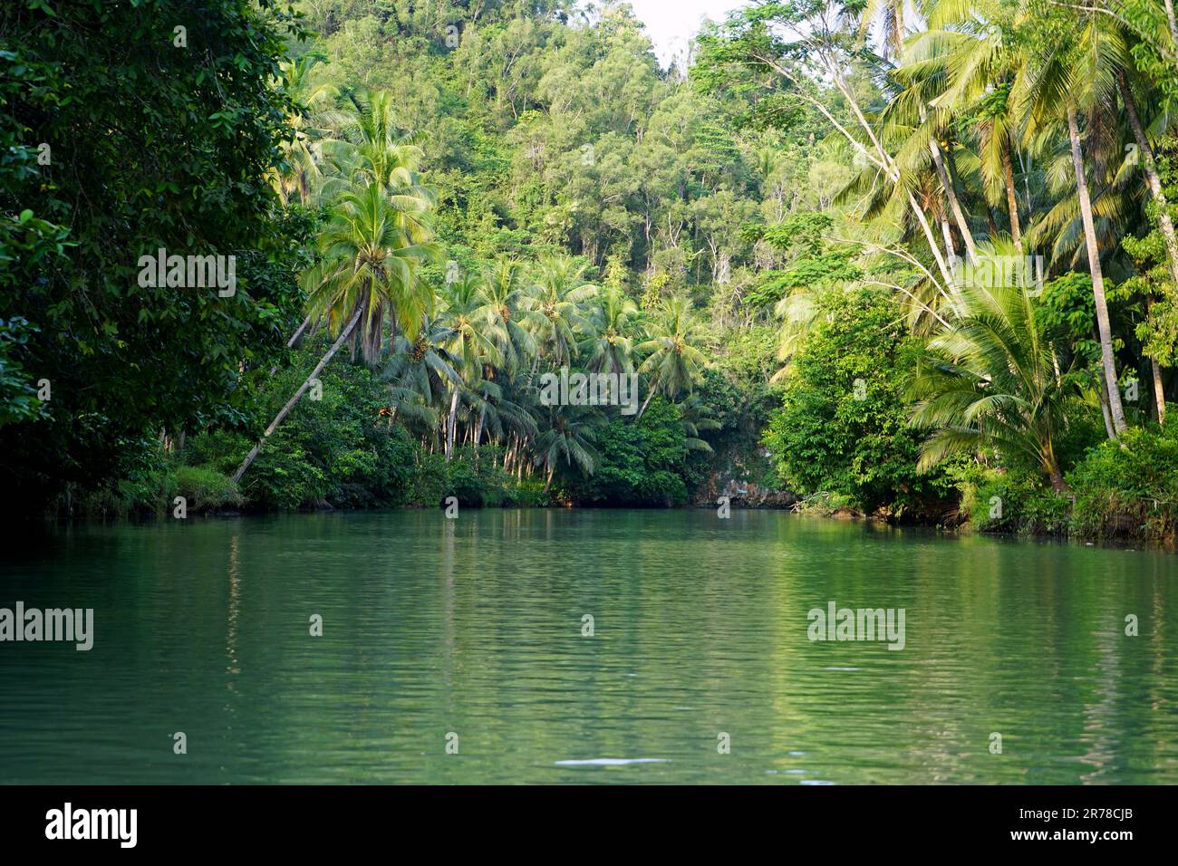 Maron sungai hi-res stock photography and images - Alamy