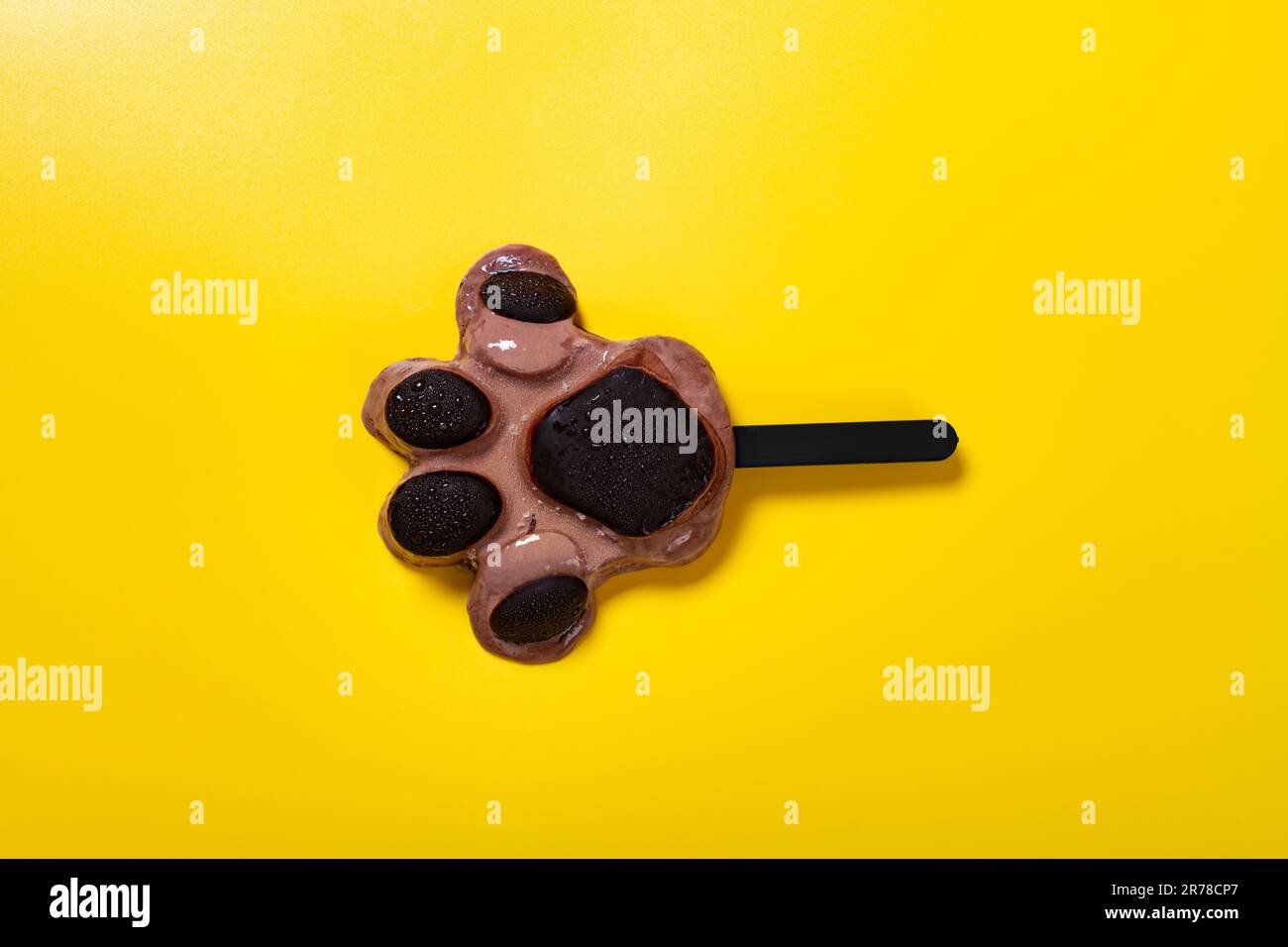 top view bears paw shape chocolate flavor popsicle starts melting on ...