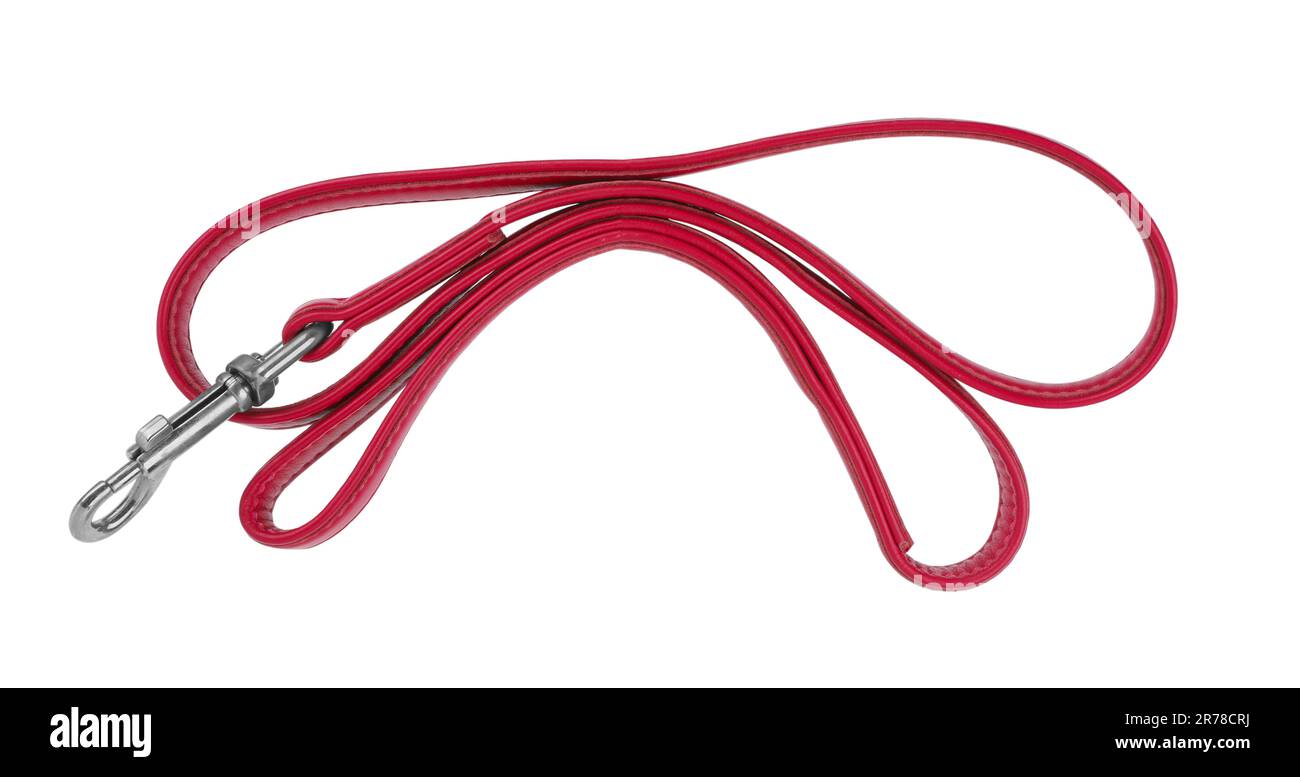 Red leather dog leash isolated on white Stock Photo - Alamy