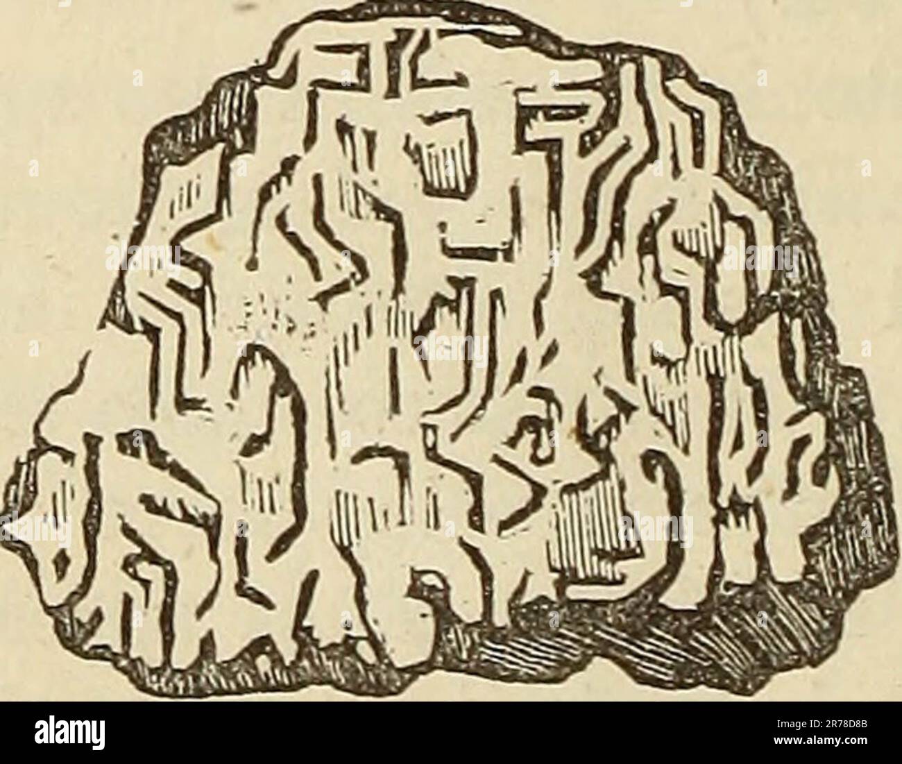 "Elements of geology, or, The ancient changes of the earth and its ...