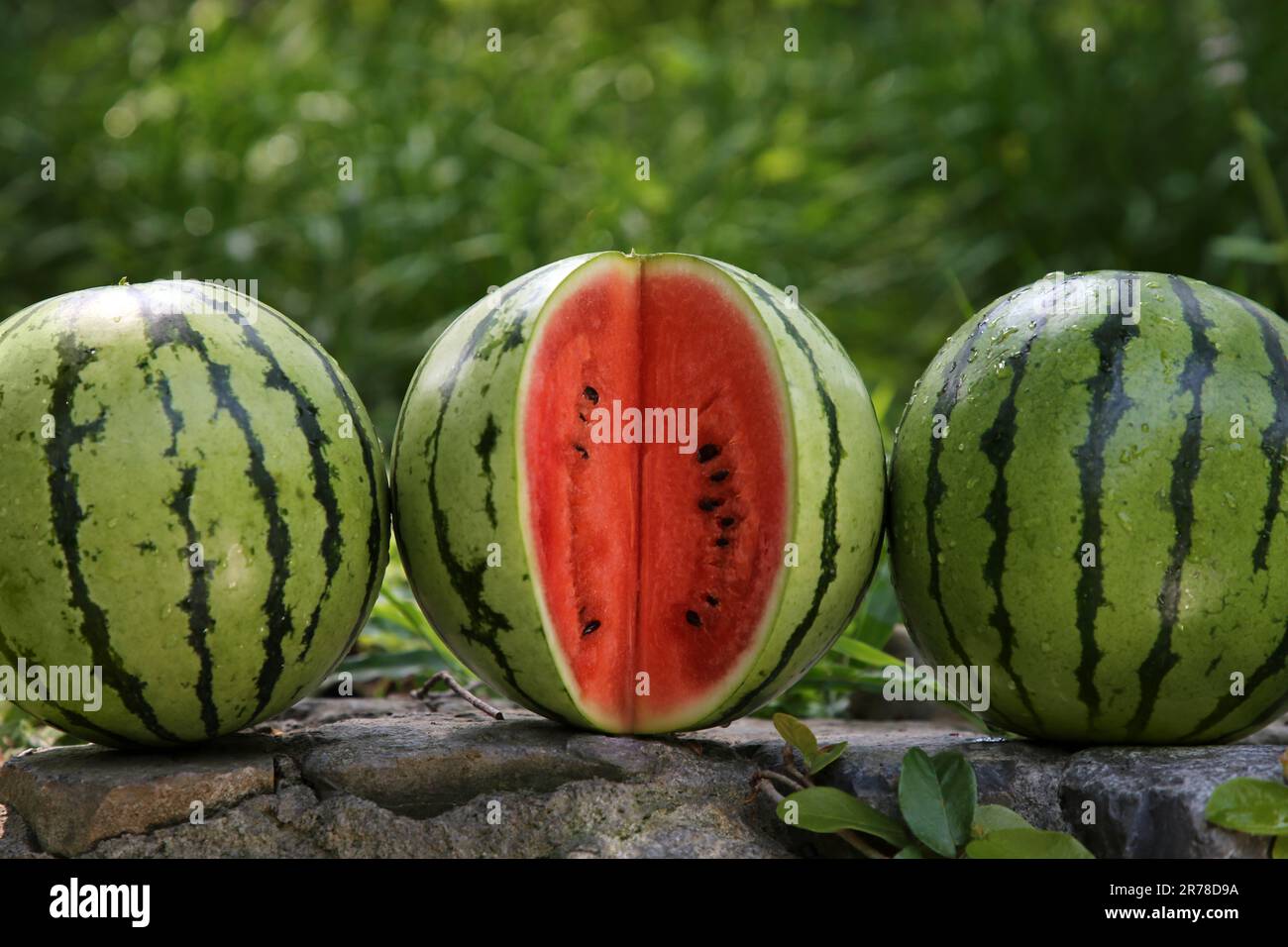 Delicious whole and cut watermelons on stone surface outdoors Stock ...