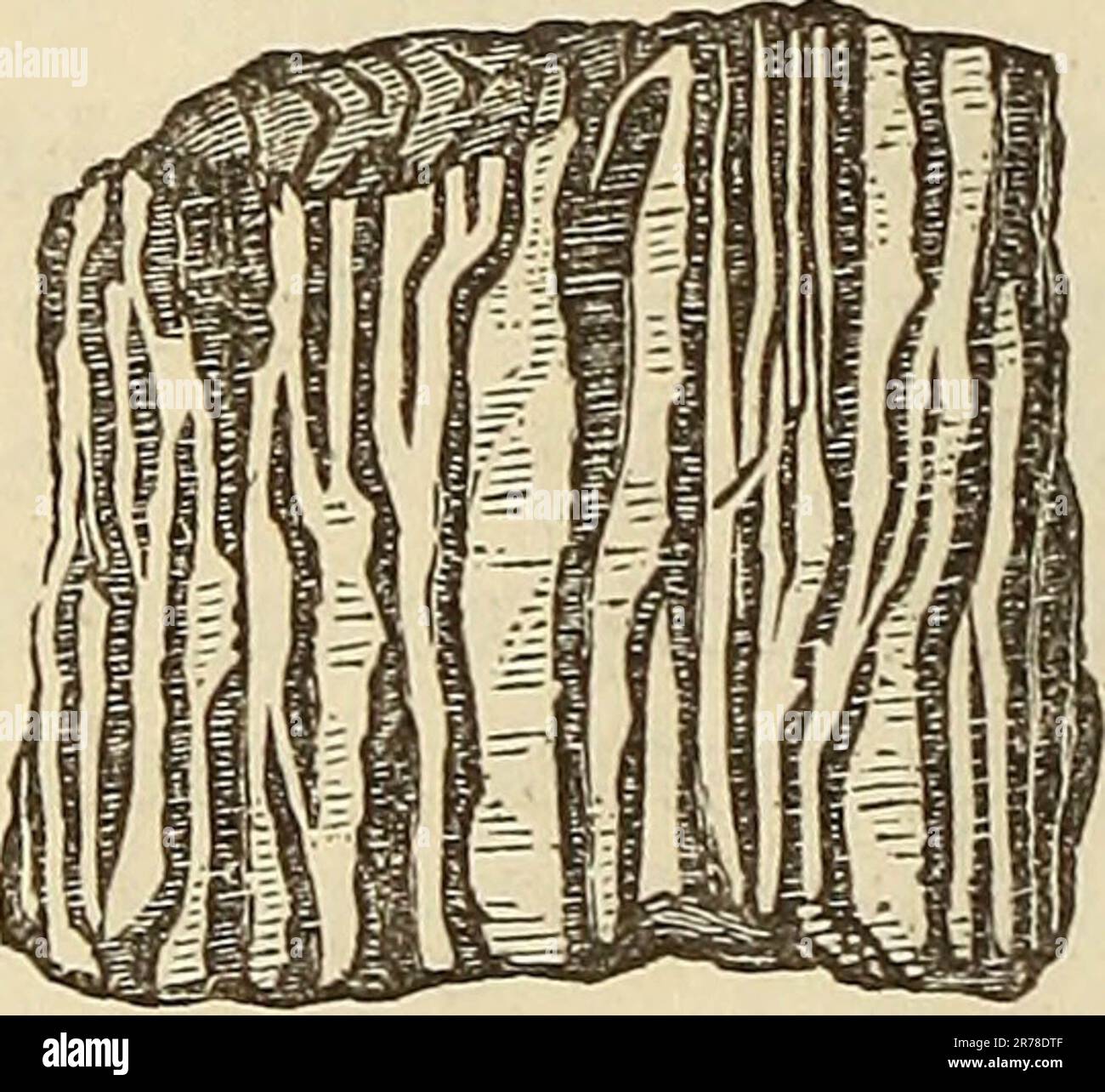 "Elements of geology, or, The ancient changes of the earth and its ...