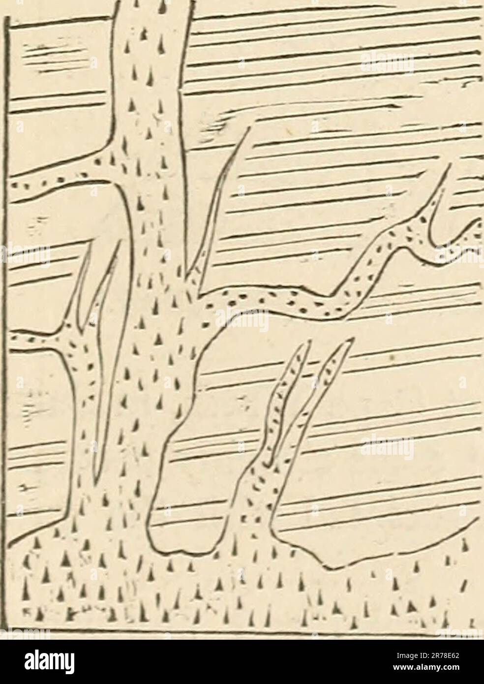 "Elements of geology, or, The ancient changes of the earth and its ...