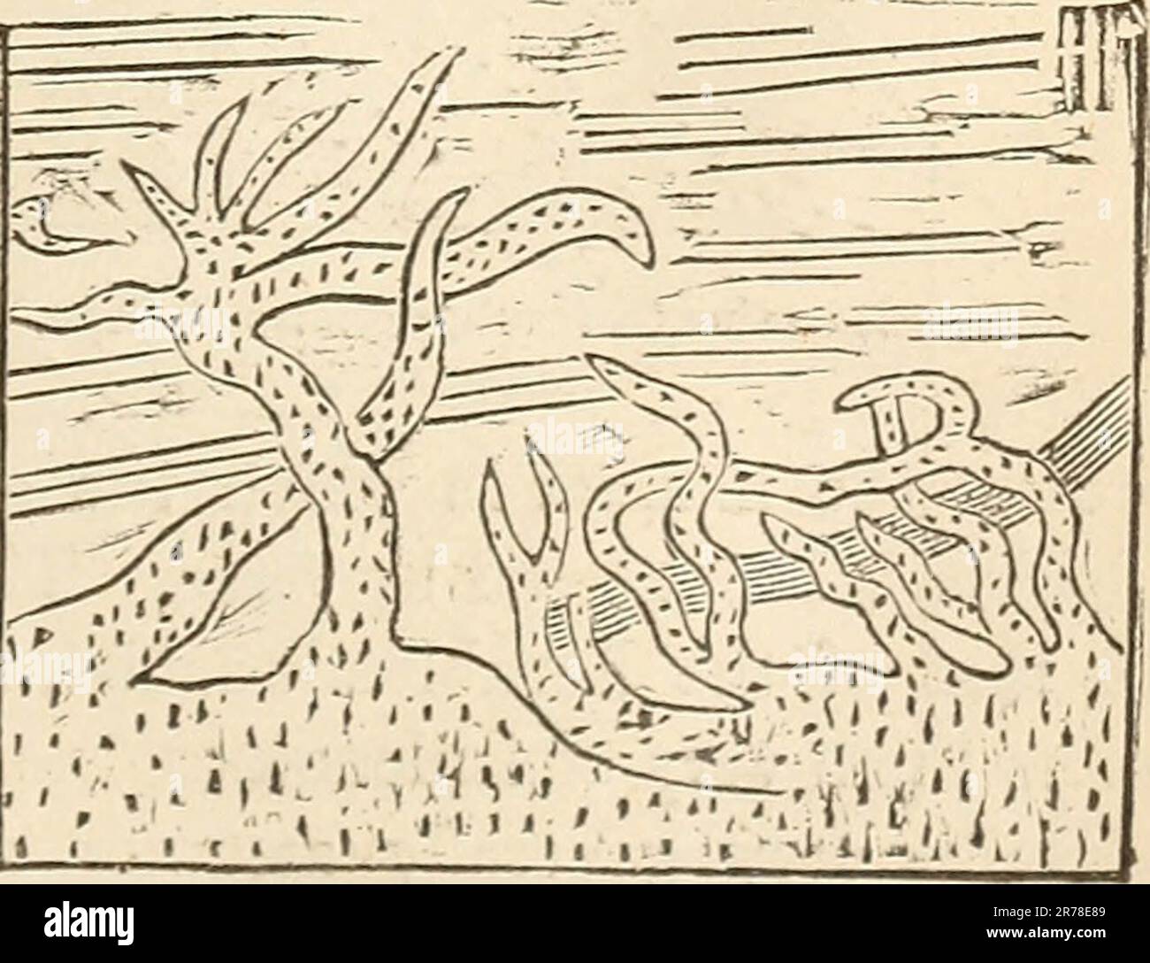 "Elements of geology, or, The ancient changes of the earth and its ...