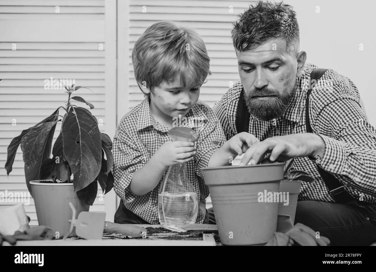 Child son with father growing plant in pot. Family holiday and ...