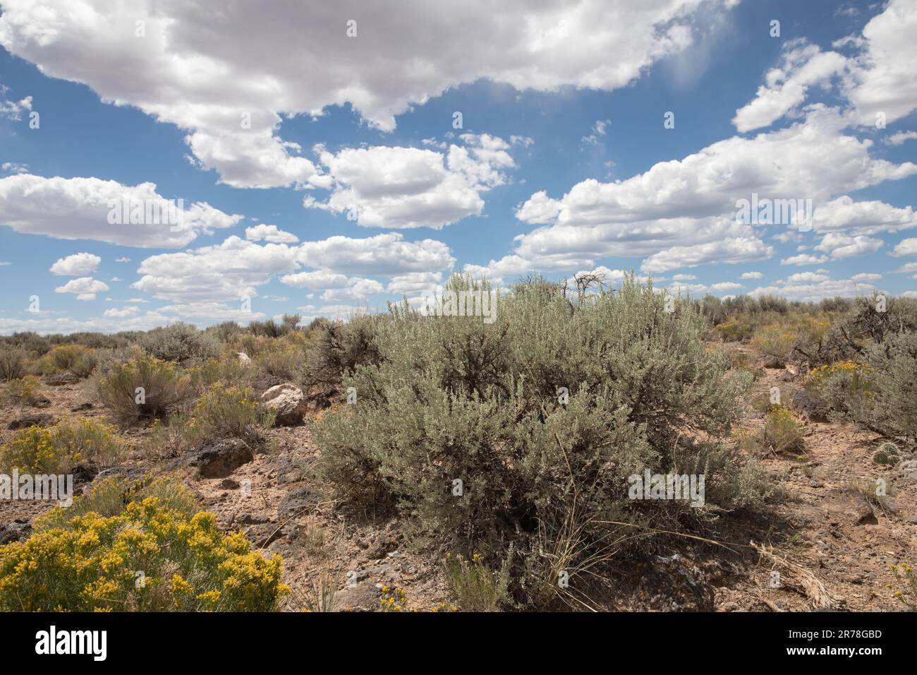 Albuquerque new mexico landmarks hi-res stock photography and images ...