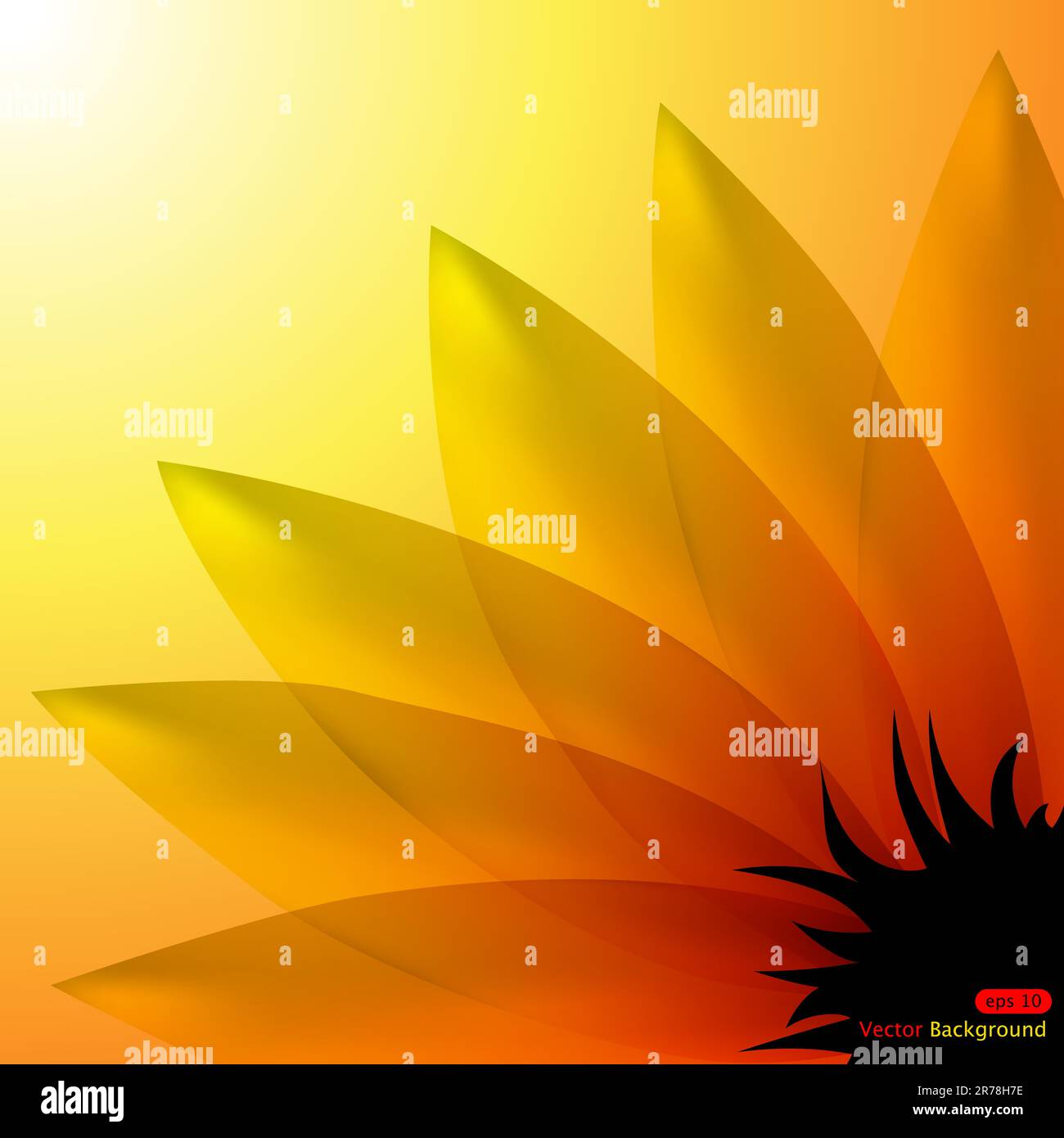 Vector abstract background with sunflower Stock Vector Image & Art - Alamy