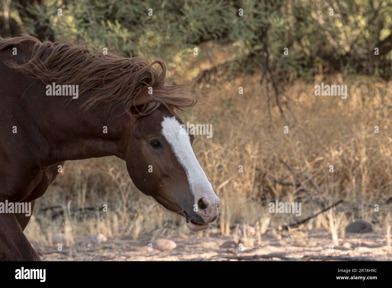 How do I look Stock Photo - Alamy