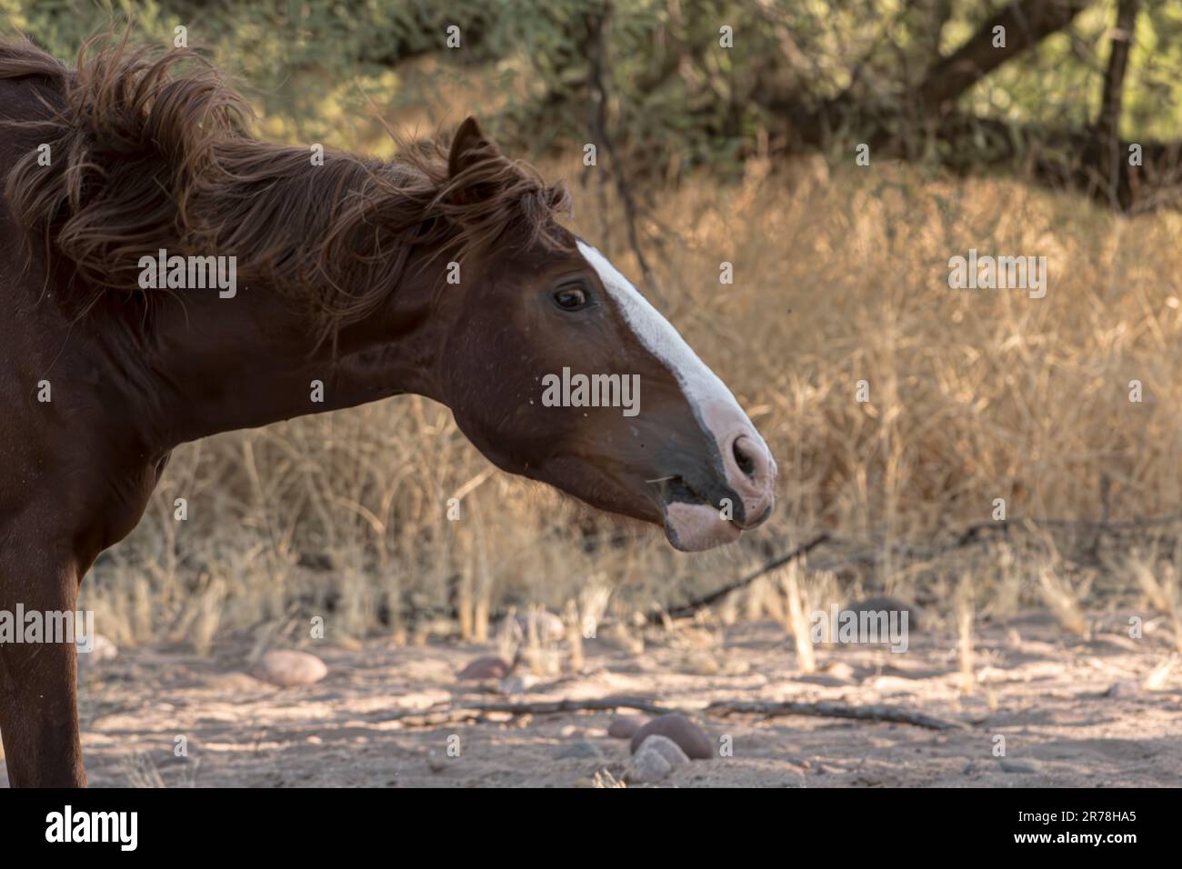 How does this side look Stock Photo - Alamy