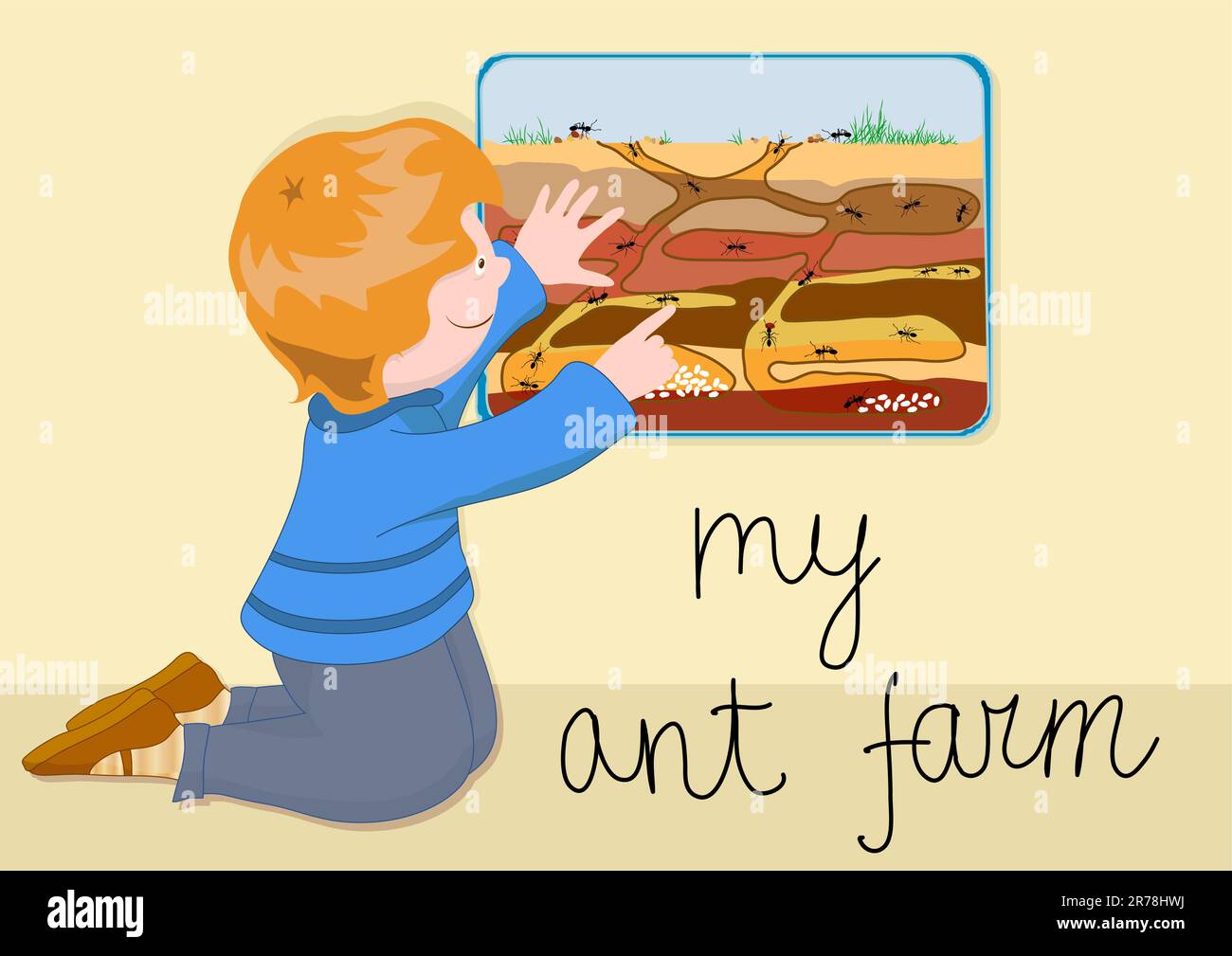 the child with interest watching the ants in a transparent ant farm ...