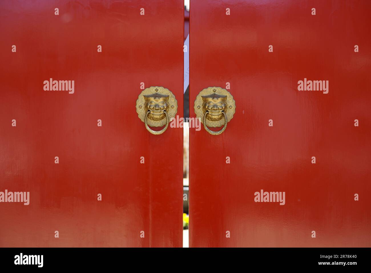 Lion door knocker shot hi-res stock photography and images - Alamy