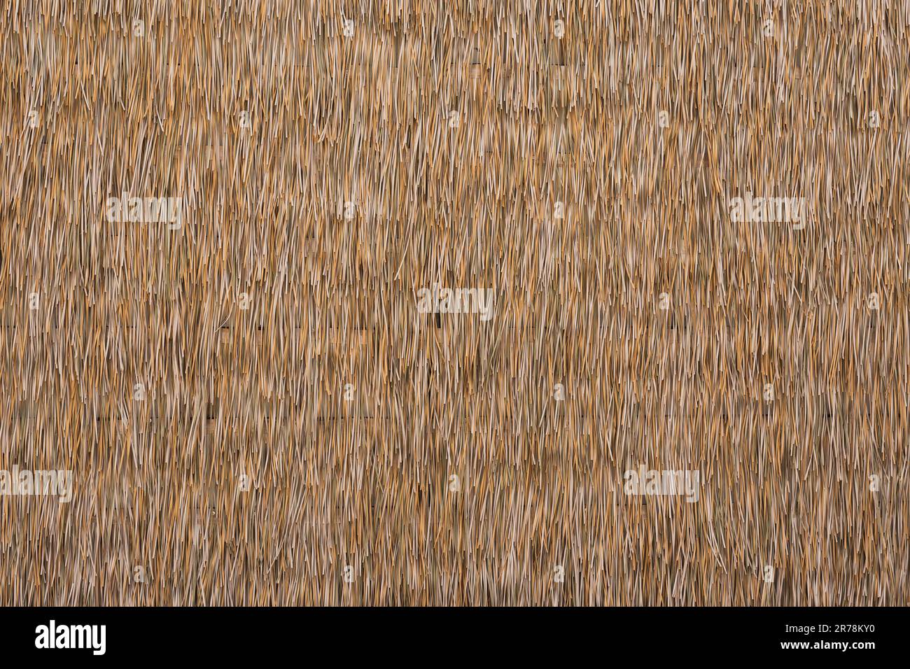Close up dry straw texture wall background Stock Photo - Alamy