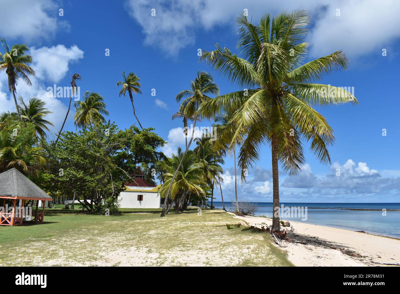 View of the Pigeon Point Beach at the Pigeon Point Heritage Park on the ...