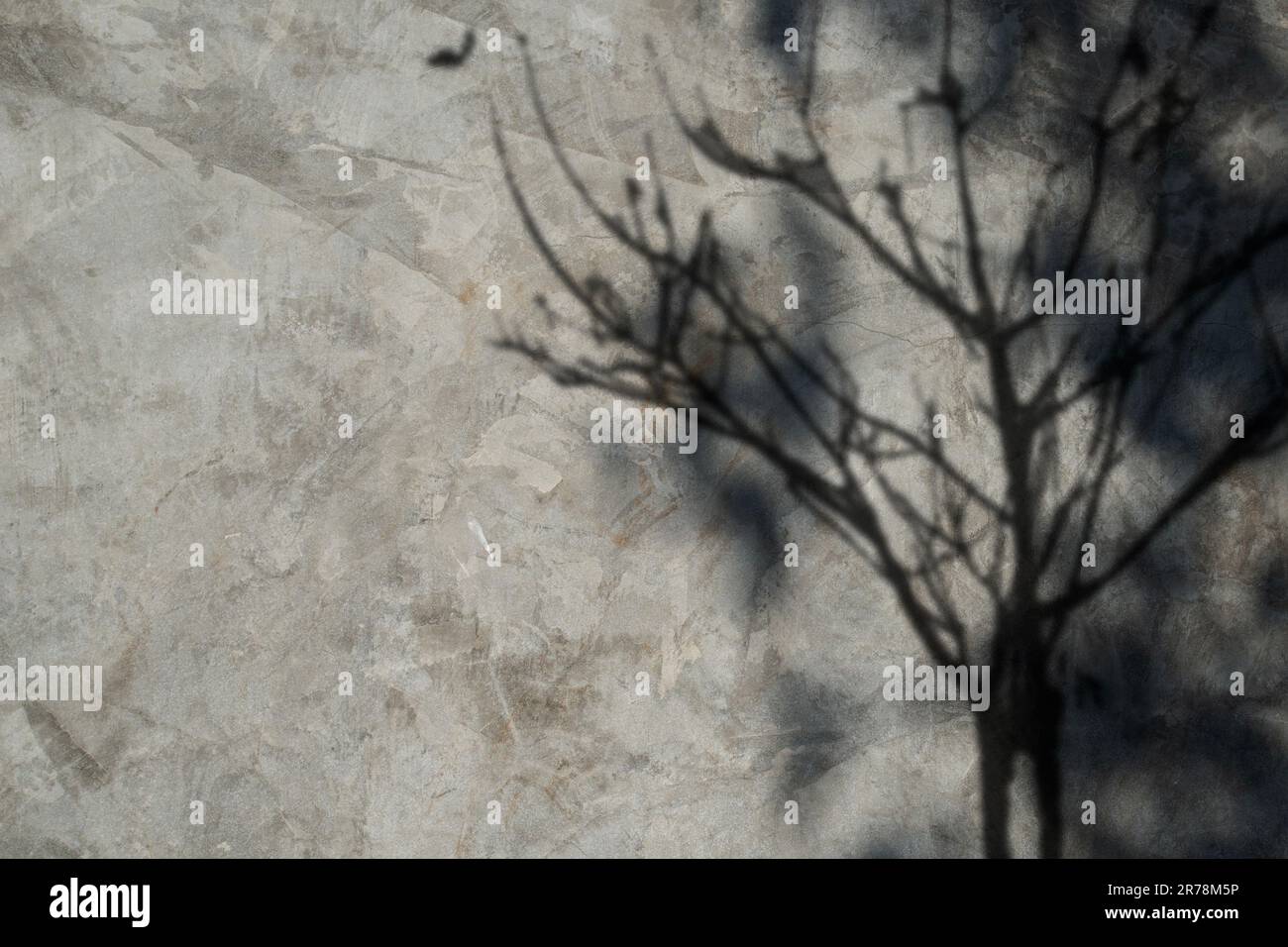 Sun shines on loft-colored walls through dry trees made blurring ...