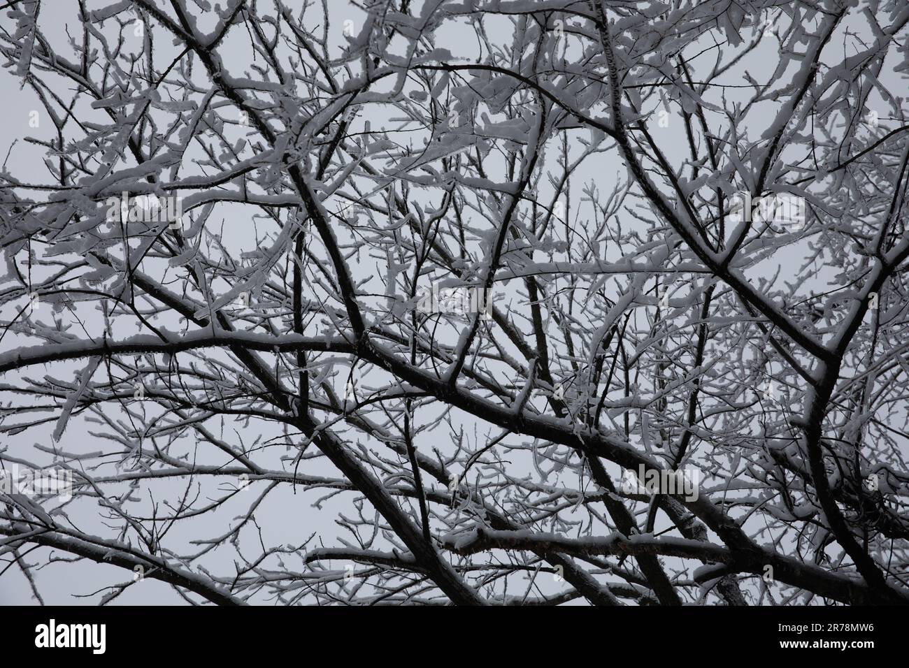 Kankakee river park hi-res stock photography and images - Alamy