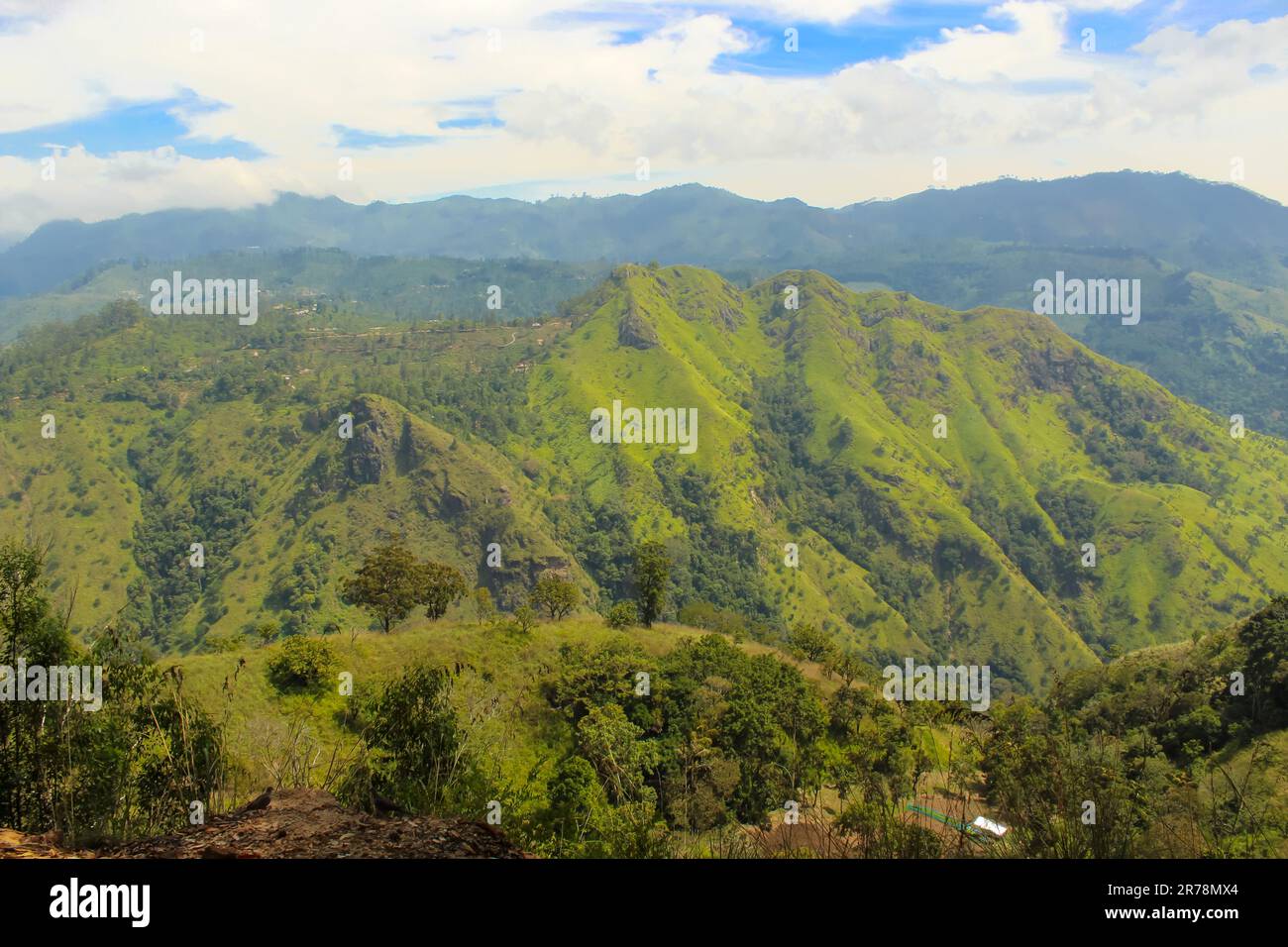 Mountain panoramic view in Ella, Sri Lanka. Early morning with blue sky ...
