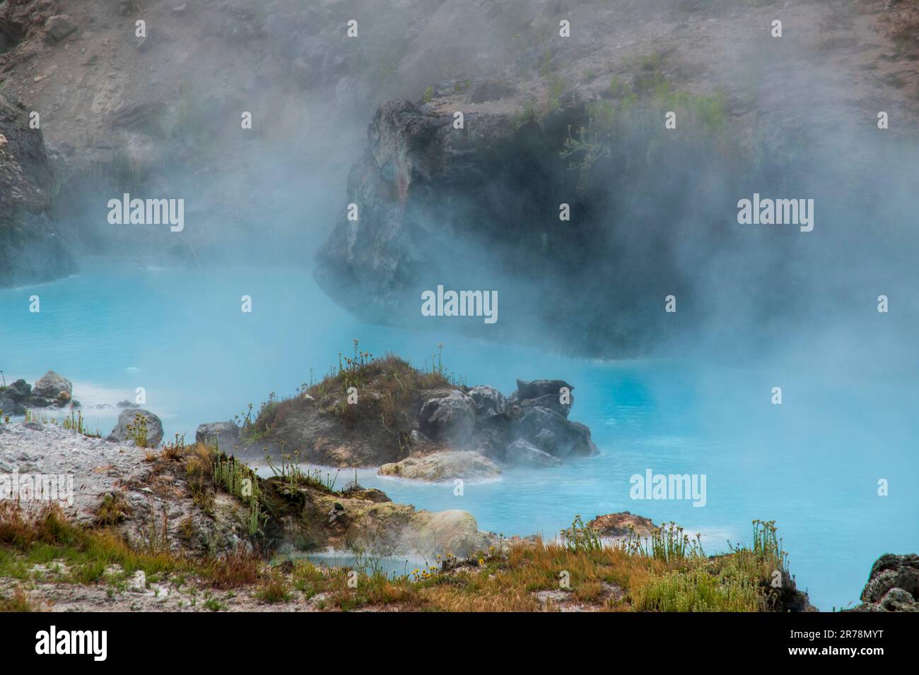 Stinky pools hi-res stock photography and images - Alamy