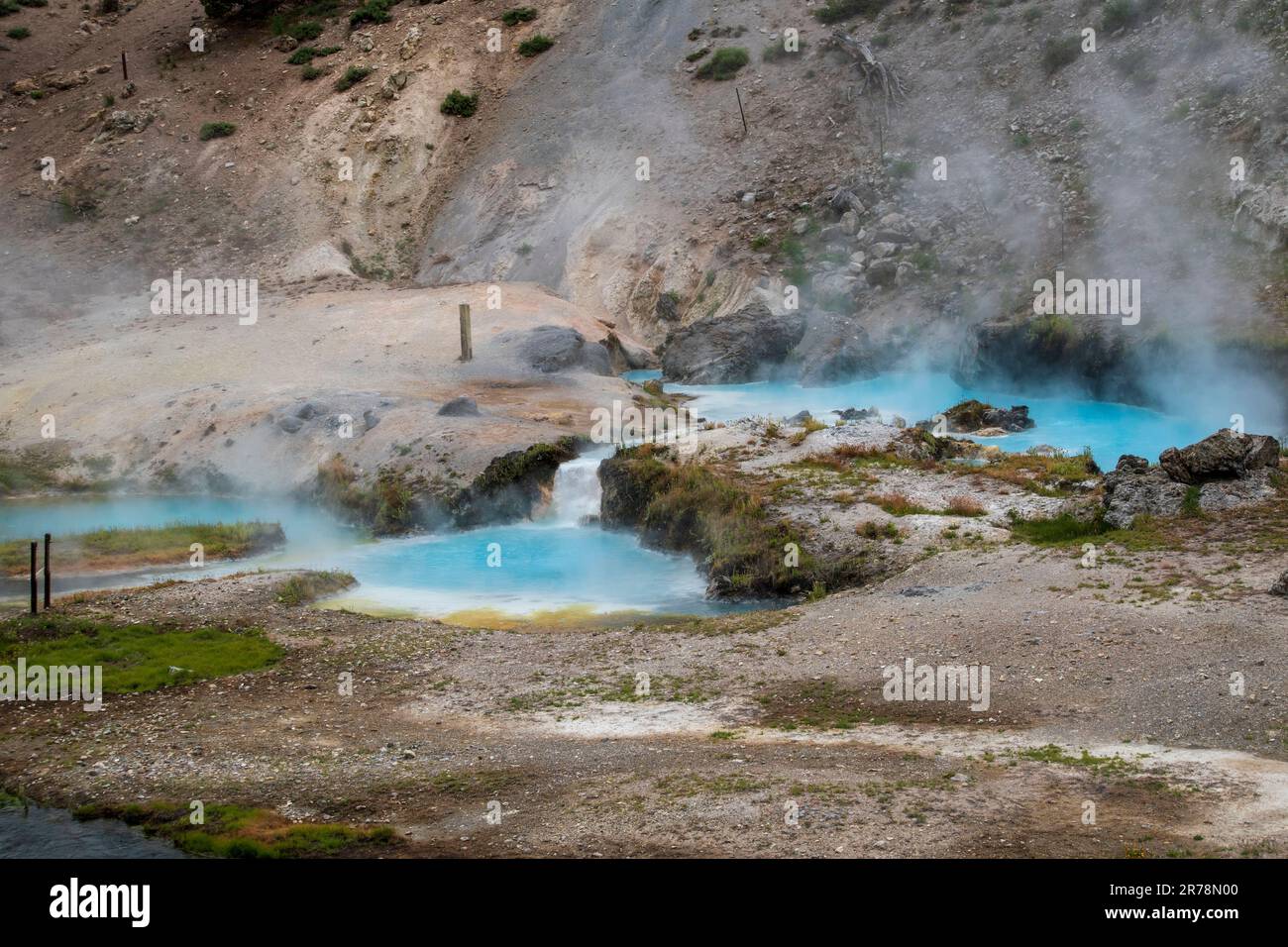 Stinky pools hi-res stock photography and images - Alamy