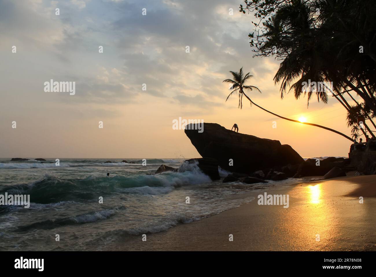 Indian man climbing coconut tree hi-res stock photography and images ...