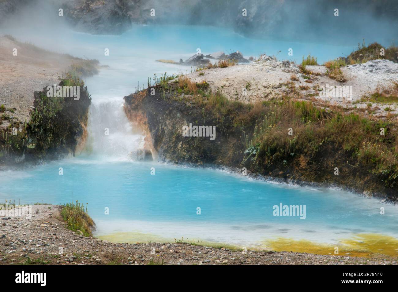 Stinky pools hi-res stock photography and images - Alamy