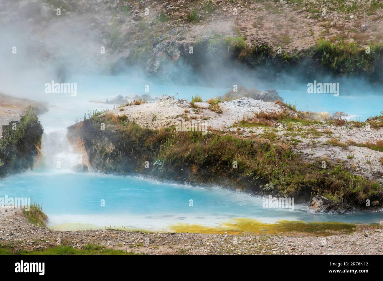 Stinky pools hi-res stock photography and images - Alamy