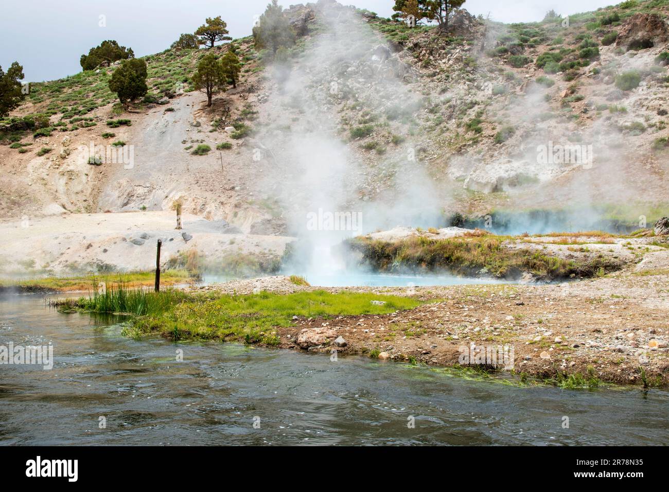 Stinky pools hi-res stock photography and images - Alamy