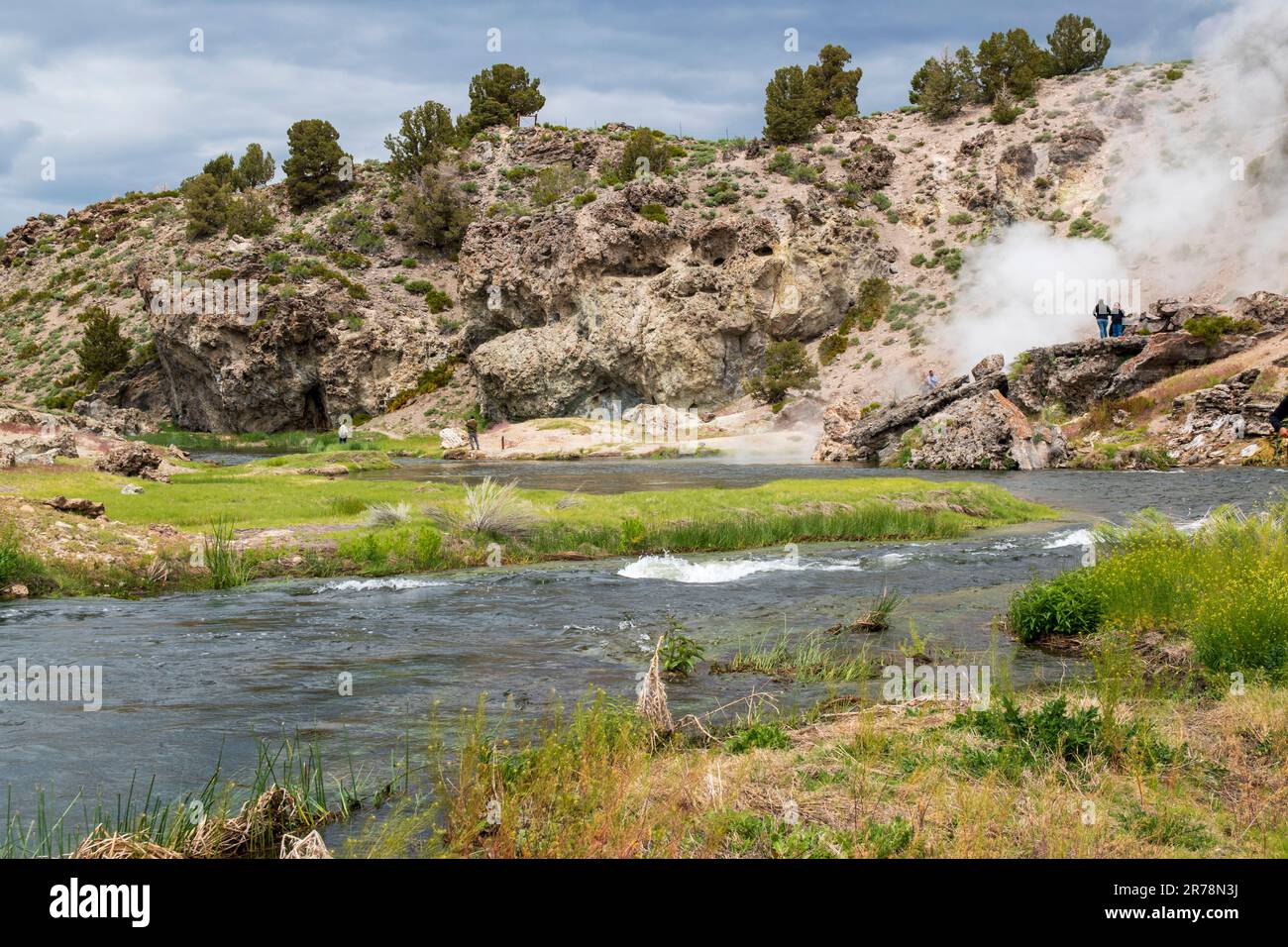 Stinky pools hi-res stock photography and images - Alamy