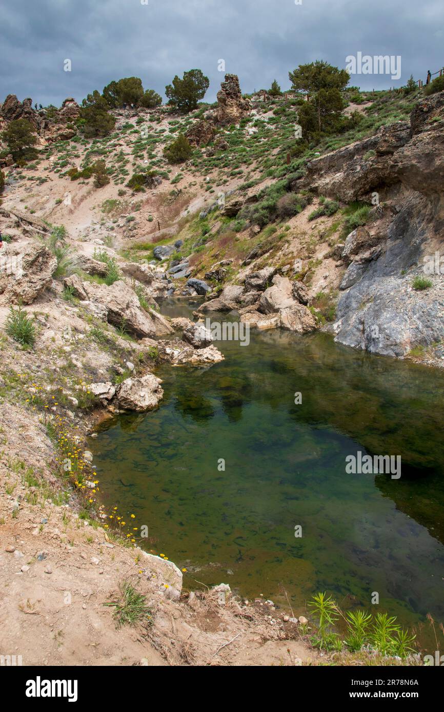 Stinky pools hi-res stock photography and images - Alamy