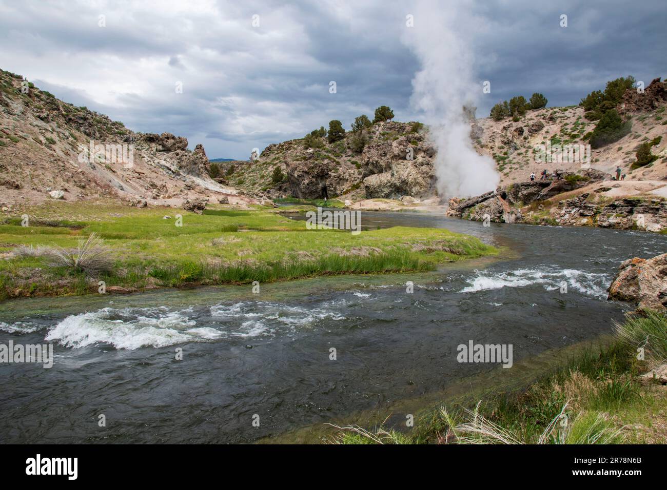 Stinky pools hi-res stock photography and images - Alamy
