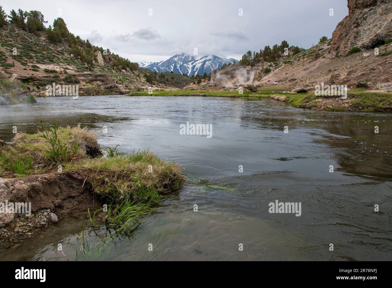 Stinky pools hi-res stock photography and images - Alamy