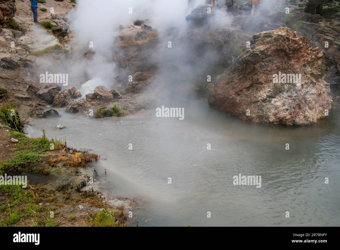 Stinky pools hi-res stock photography and images - Alamy