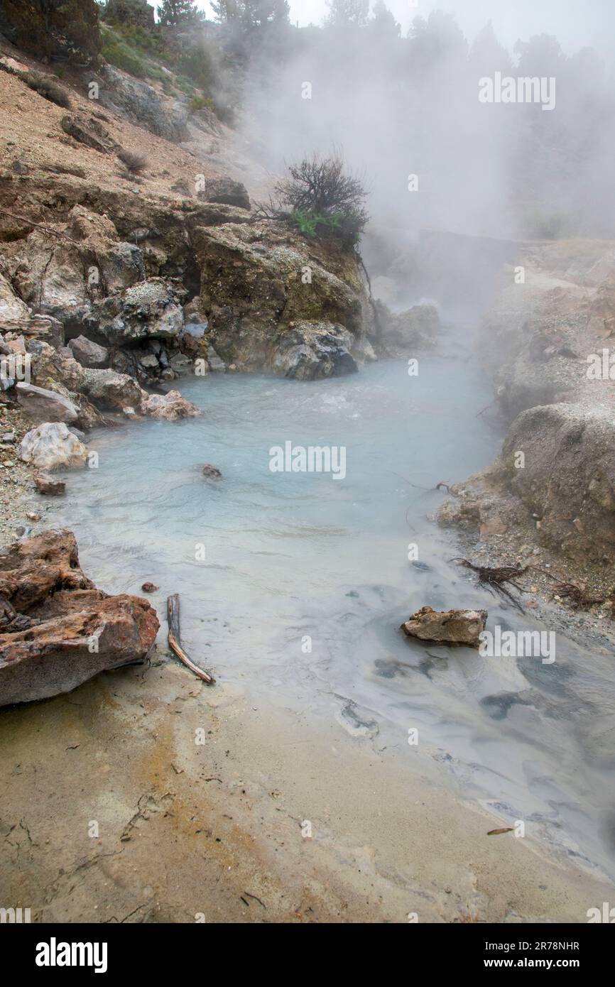 Stinky pools hi-res stock photography and images - Alamy