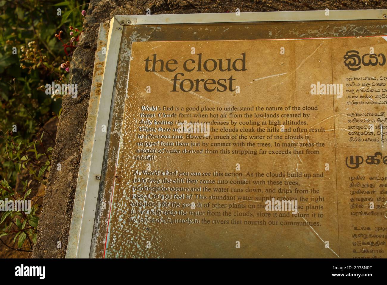 Horton Plains National Park Map