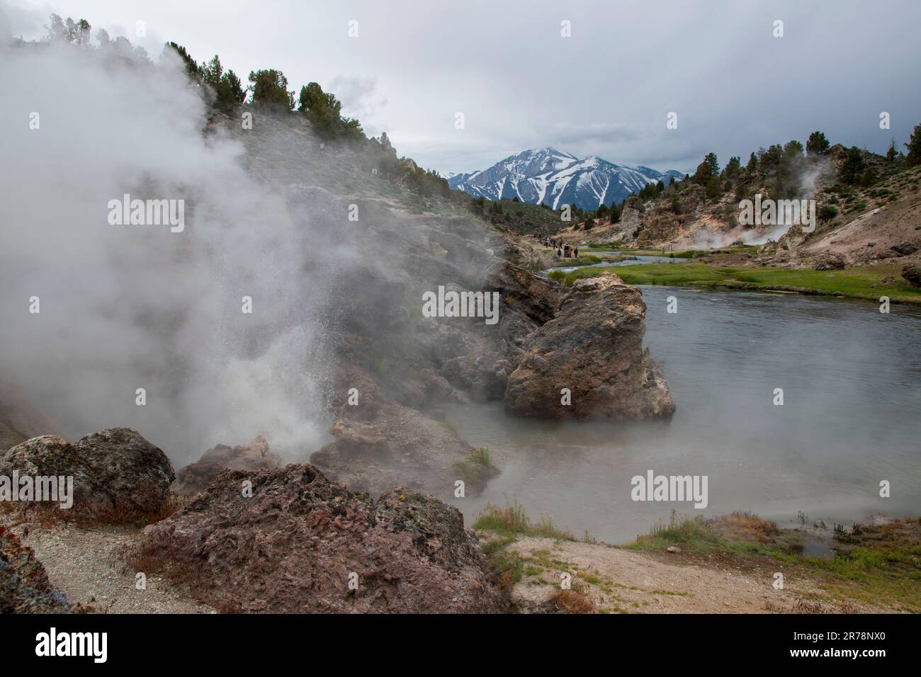 Stinky pools hi-res stock photography and images - Alamy