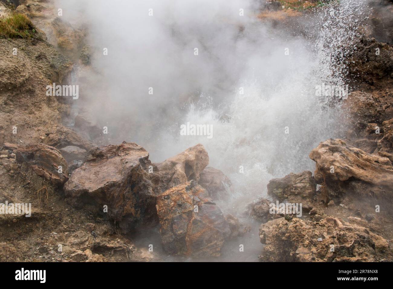 Stinky pools hi-res stock photography and images - Alamy