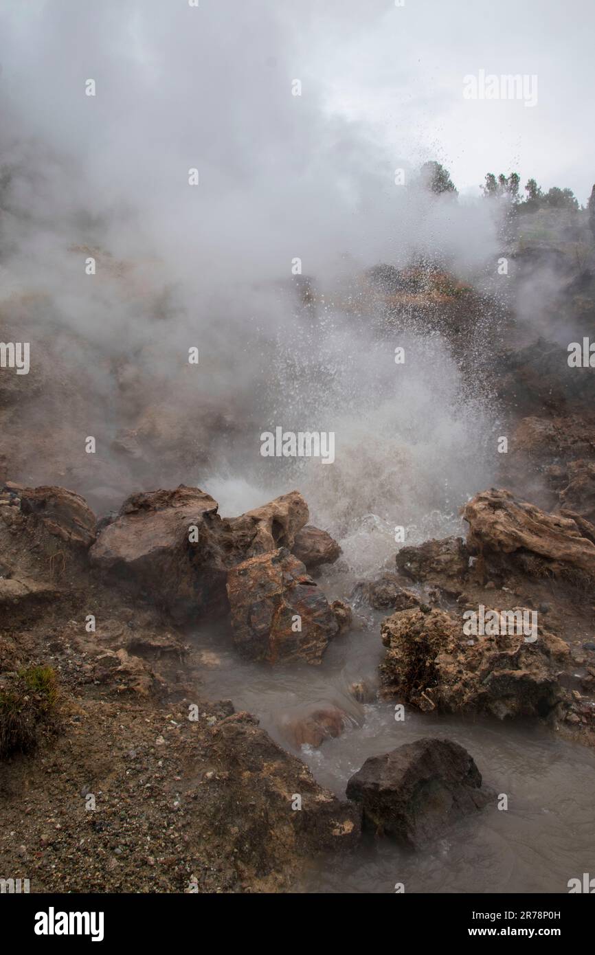Stinky pools hi-res stock photography and images - Alamy