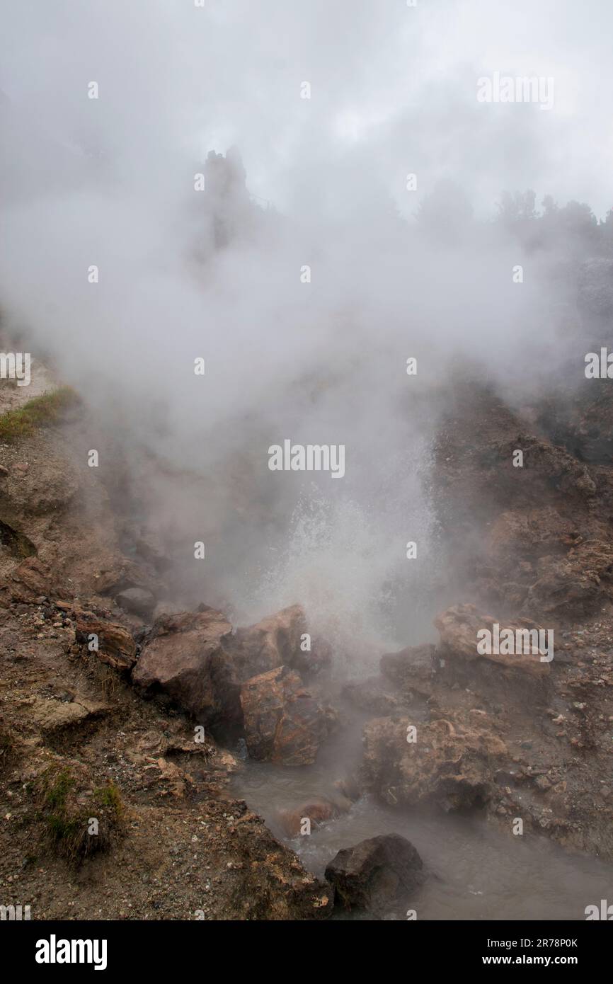 Stinky pools hi-res stock photography and images - Alamy
