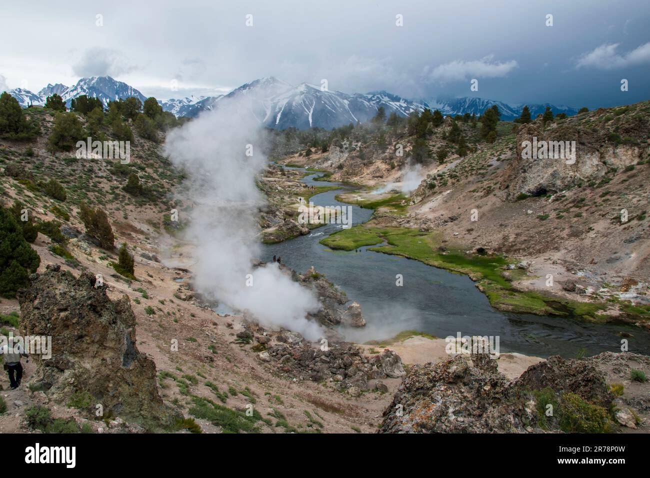 Stinky pools hi-res stock photography and images - Alamy