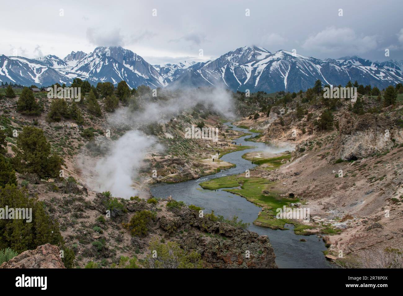 Stinky pools hi-res stock photography and images - Alamy