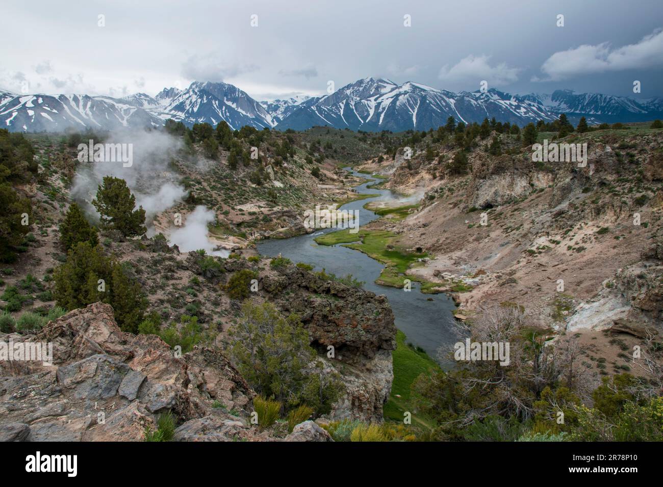 Stinky pools hi-res stock photography and images - Alamy
