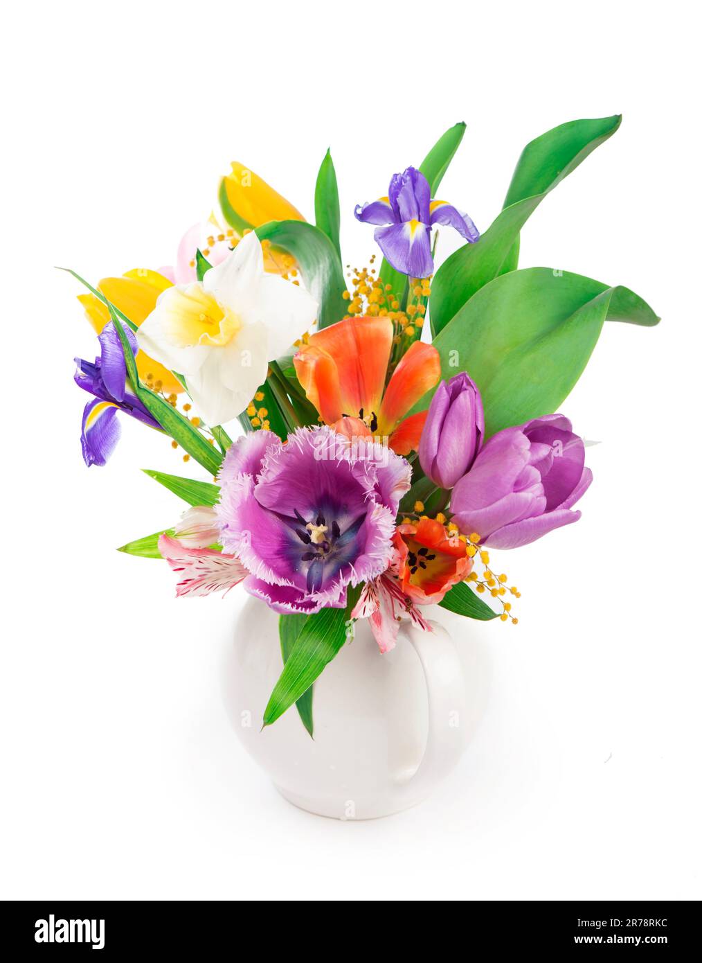 spring flowers isolated on a white background Stock Photo - Alamy