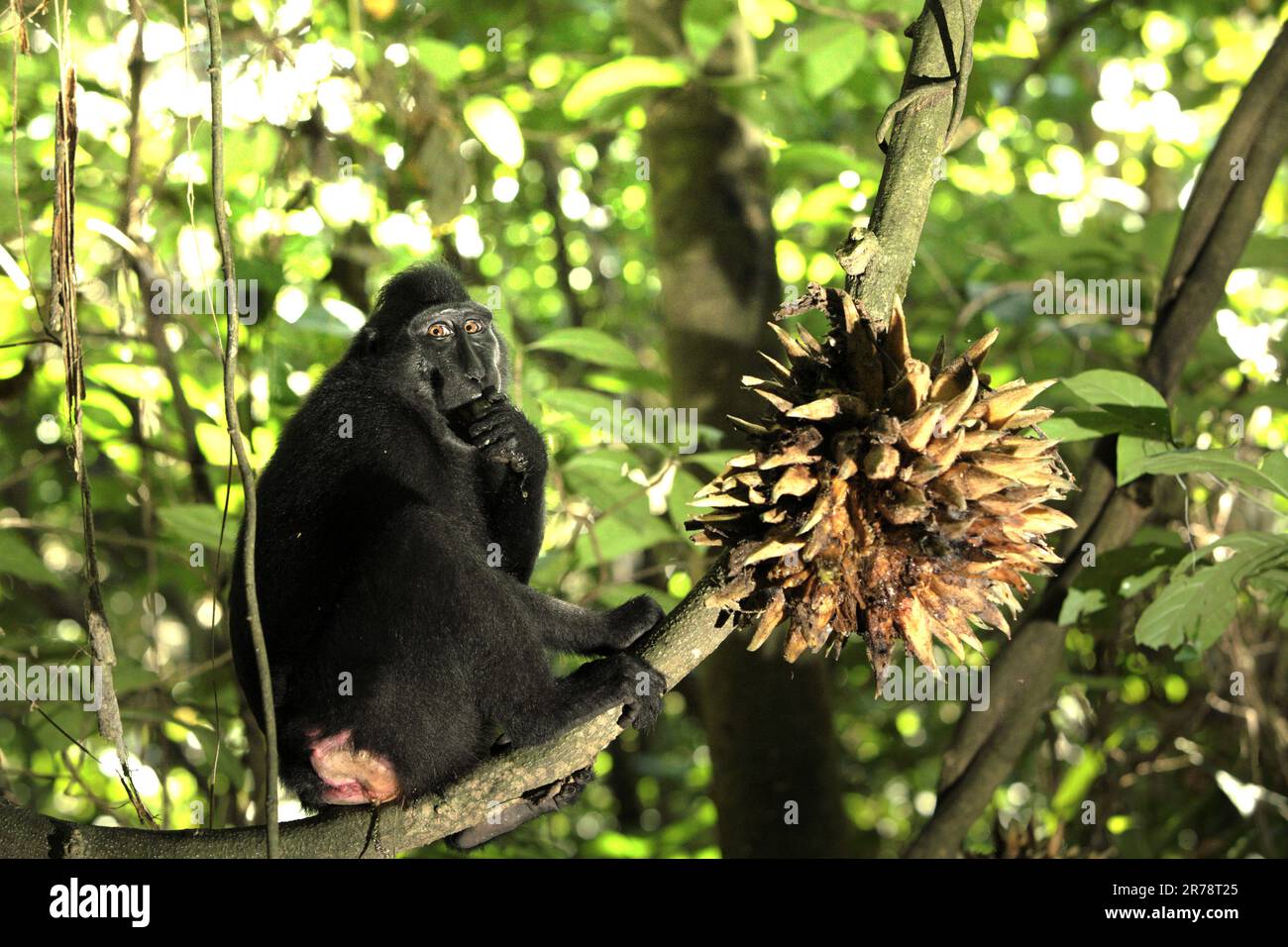 Centro de biociencias hi-res stock photography and images - Alamy