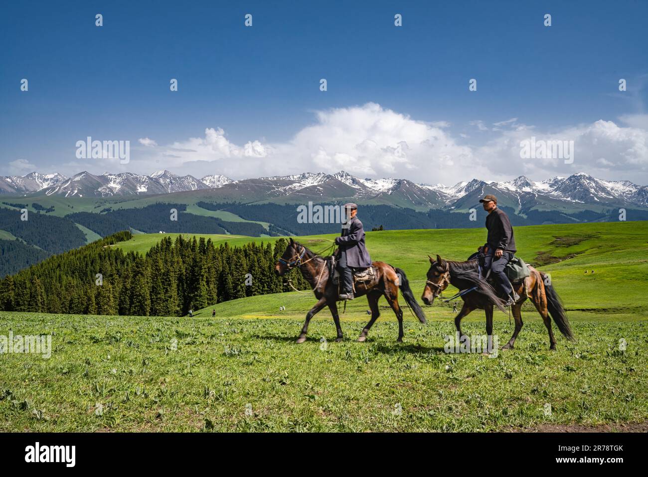 Summer scenery of the Kalajun Grassland in Ili Kazakh Autonomous ...