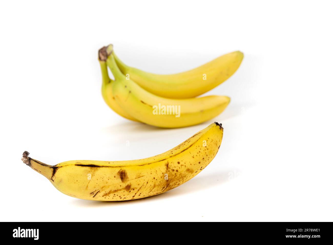 Aging banana by a bunch of fresh green bananas Stock Photo - Alamy