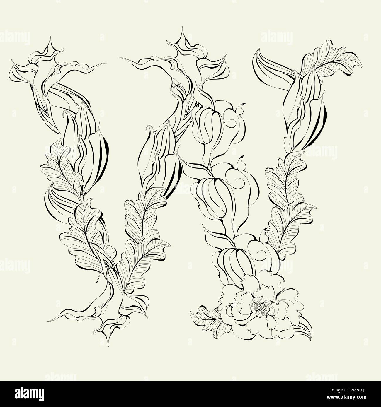 Decorative font, Letter W Stock Vector Image & Art - Alamy