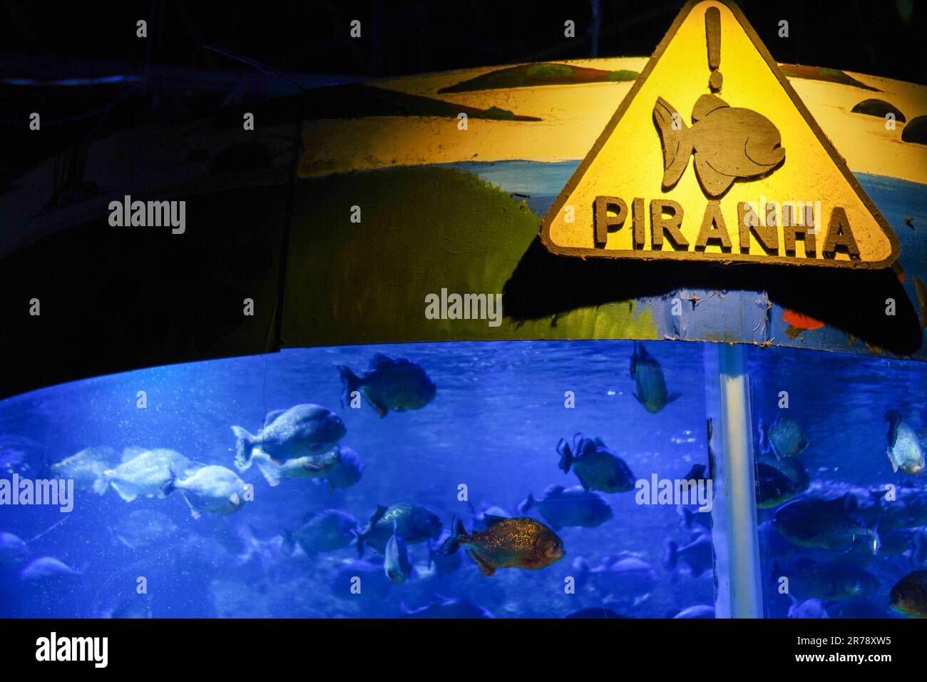 Warning piranha-infested aquarium brimming with danger Stock Photo - Alamy